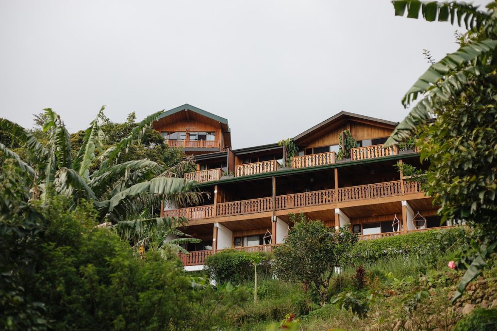 Monteverde Cloud Forest: Best Things To Do & Where To Stay