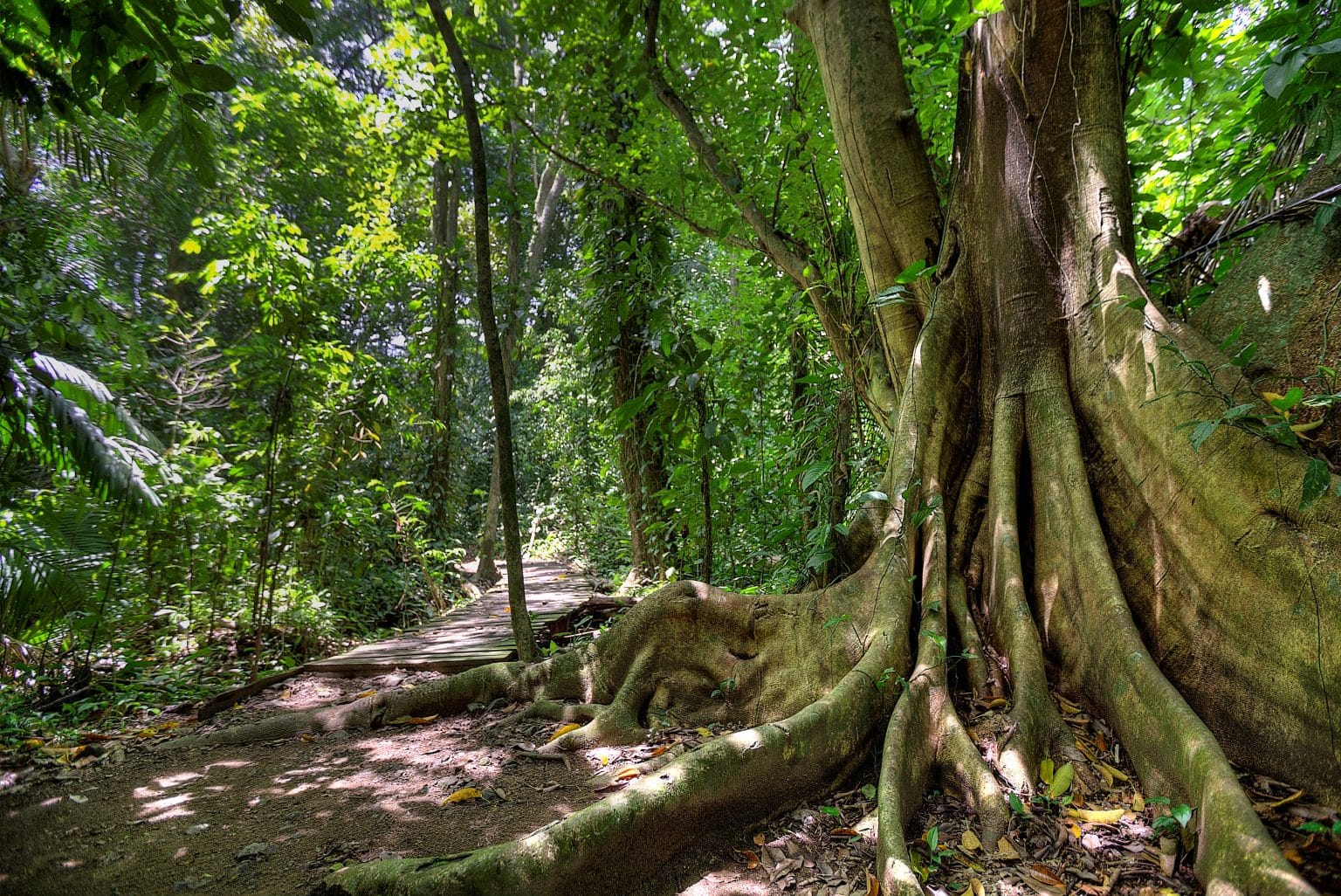 Dominical Surf Town: Places to Visit & Things to Do | Costa Rica