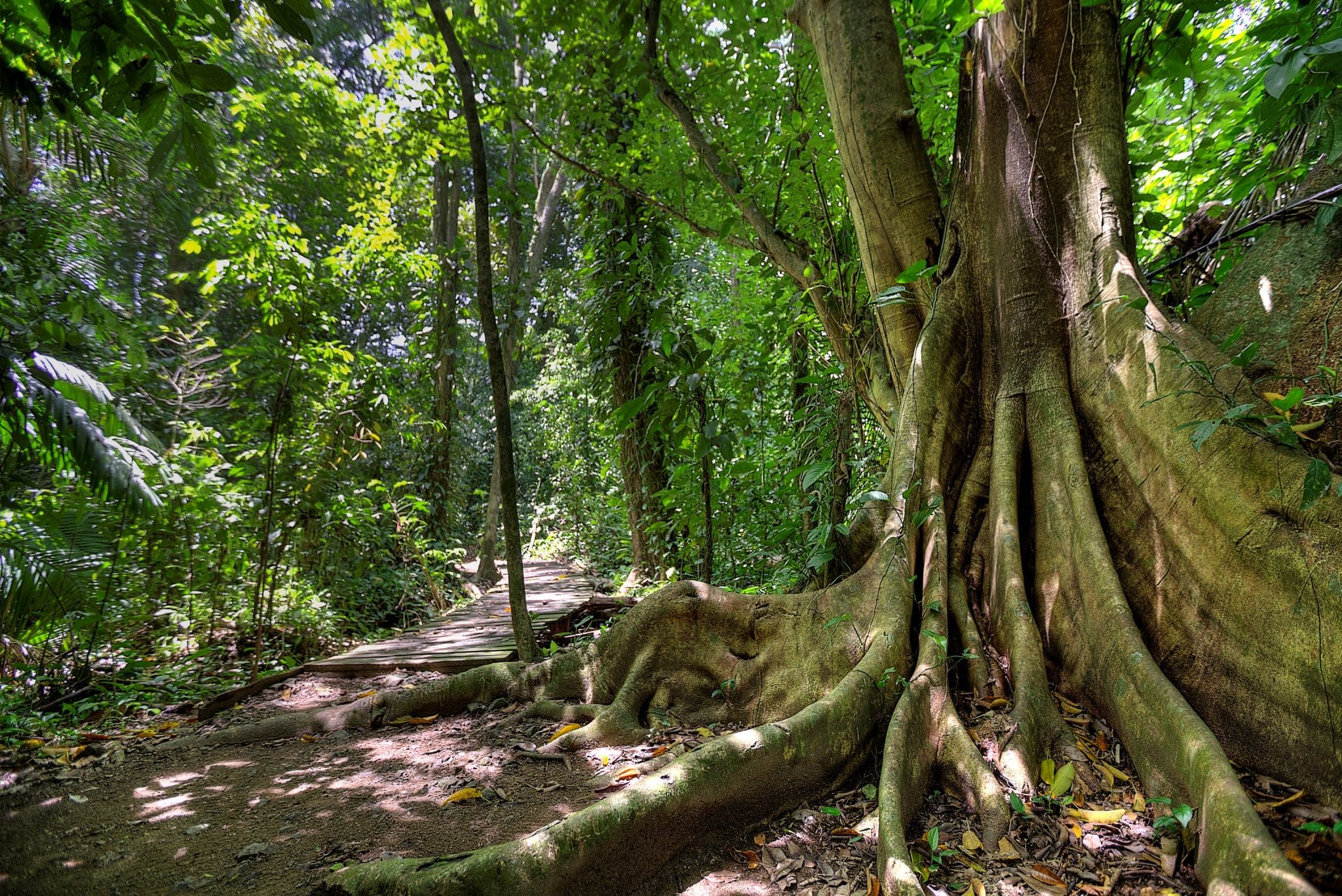 Dominical Surf Town: Places to Visit & Things to Do | Costa Rica