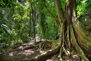 Dominical Surf Town: Places to Visit & Things to Do | Costa Rica