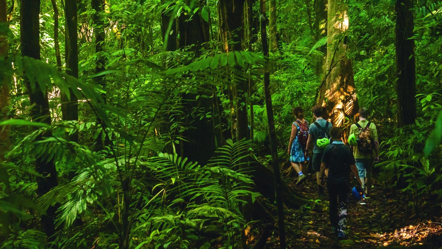 Puerto Jimenez: Things to Do, Where to Stay, How to Get There