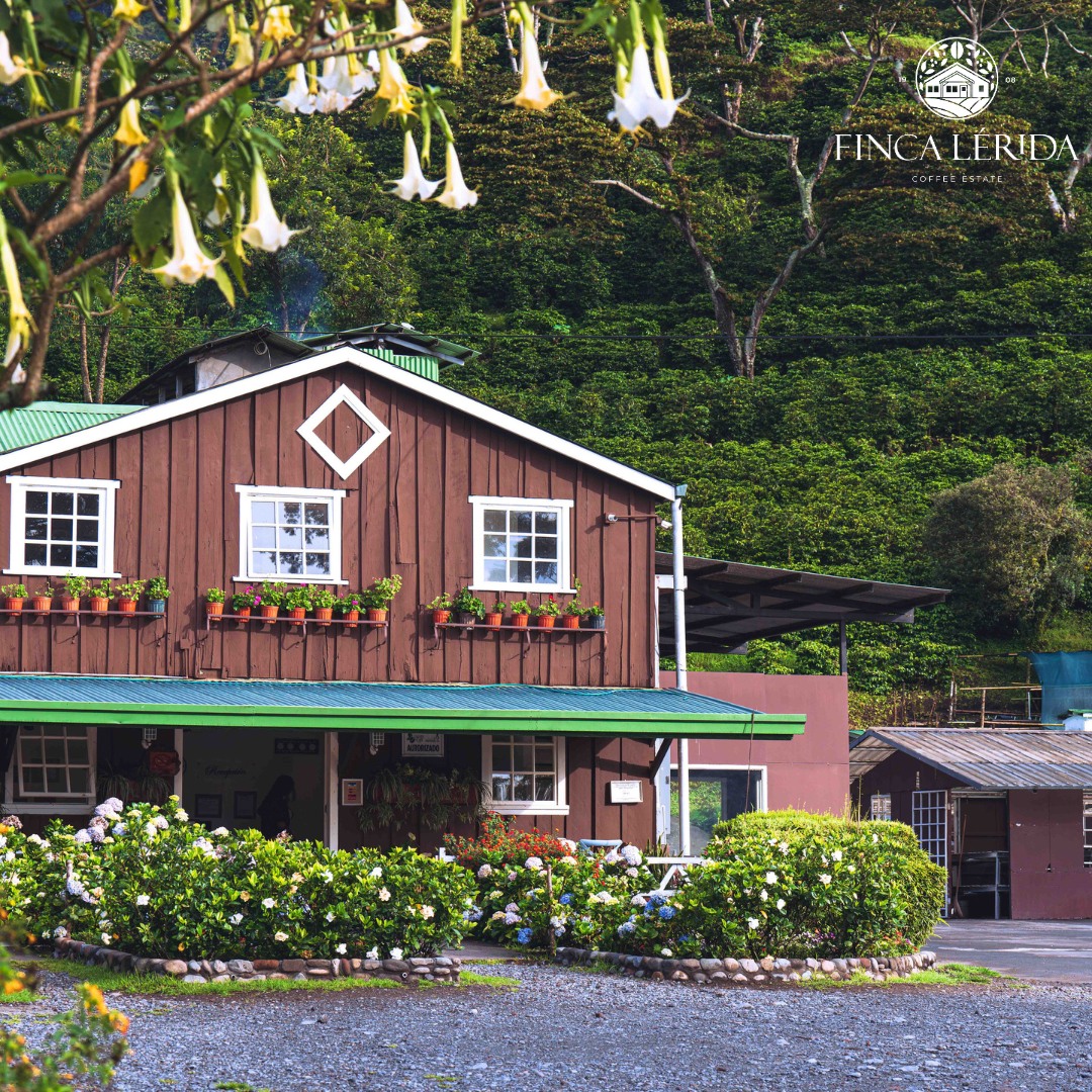 Stay at Hotel Finca Lerida Coffee Plantation | Panama