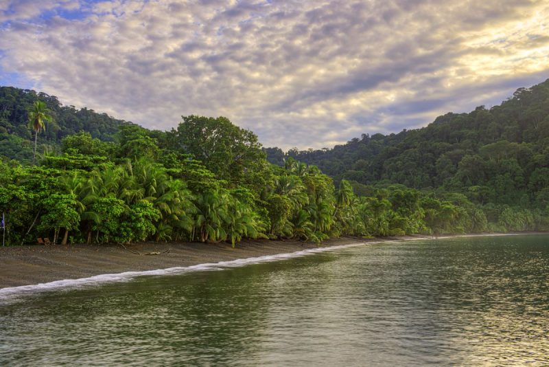Puerto Jimenez: Things to Do, Where to Stay, How to Get There