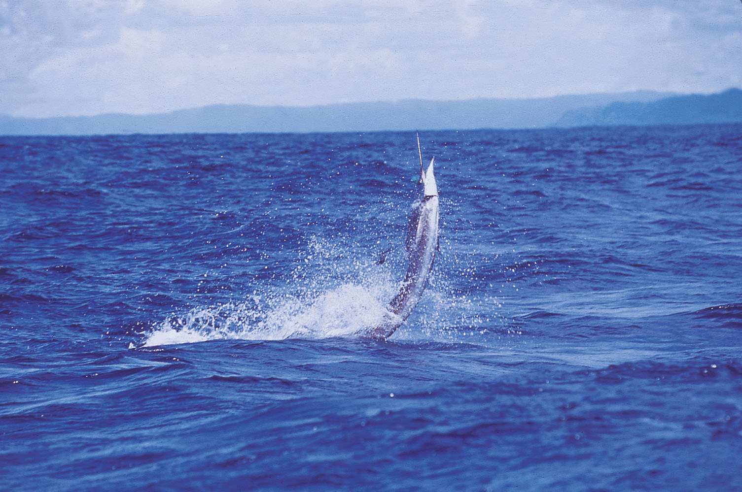 Playa Conchal: BEST Things To Do & Where To Stay - Costa Rica Experts