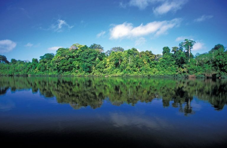 Best of Drake Bay: Places To Visit, Things To Do, Where To Stay